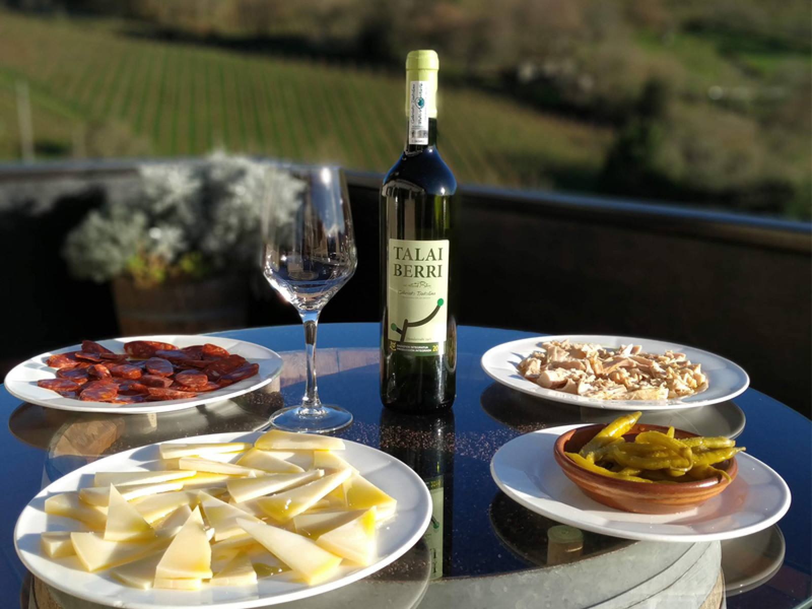 Enoturismo. Txakolí de Getaria.